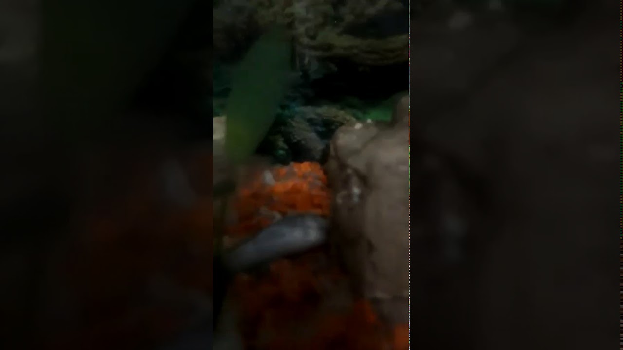 0000000000000 - YouTube