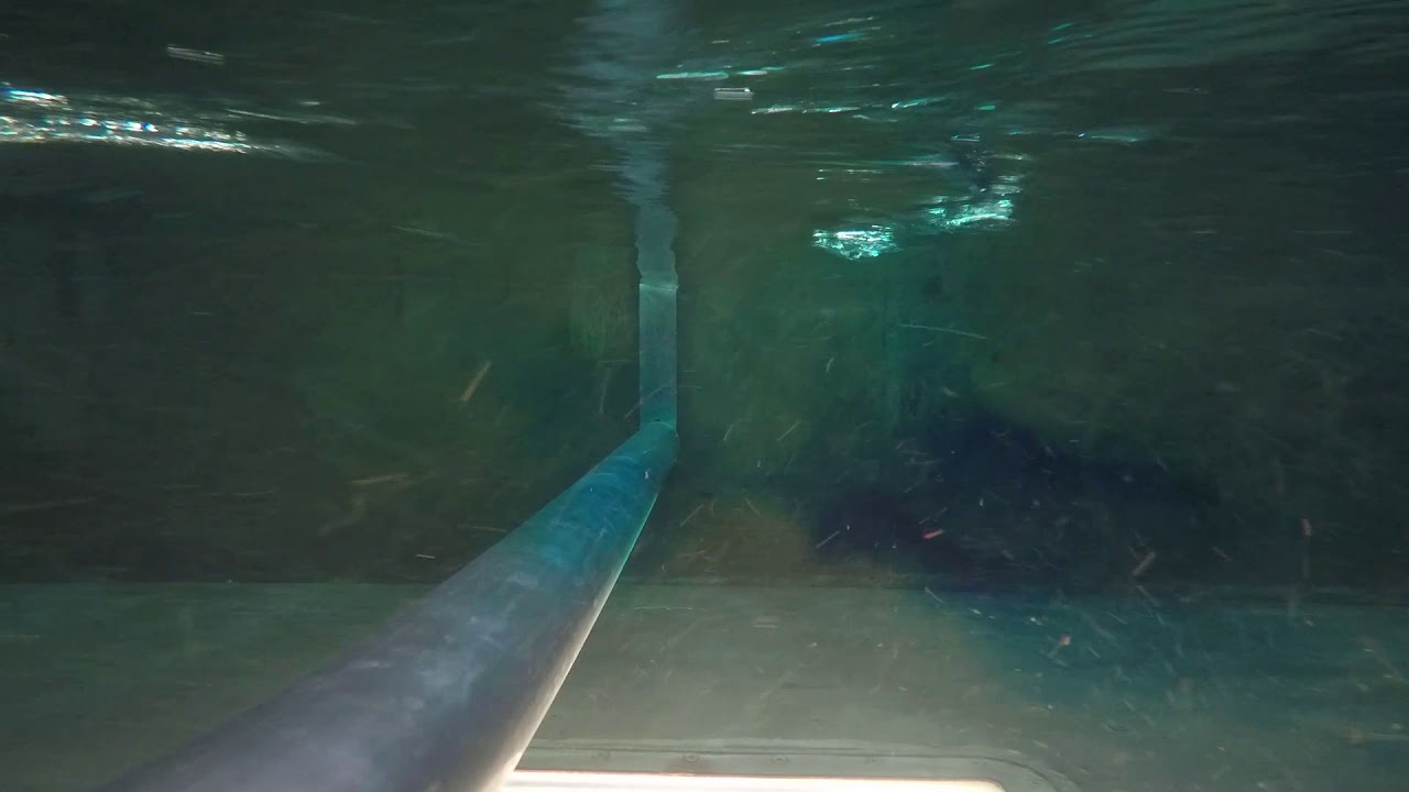 Flow Visualisation for Vortex Induced Vibrations - YouTube