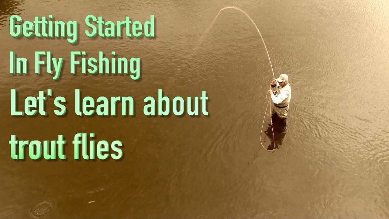 Getting Started in Fly Fishing: Let's learn about Trout Flies - YouTube