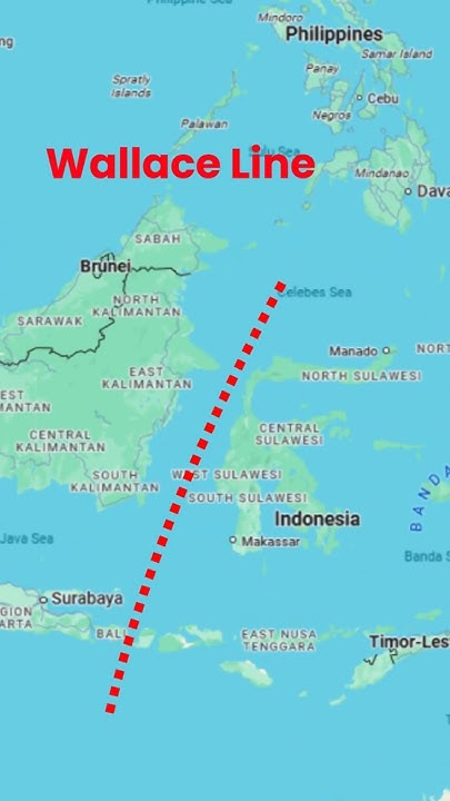 The Secret of Wallace Line #didyouknow #facts #quiz #trivia #braintest ...