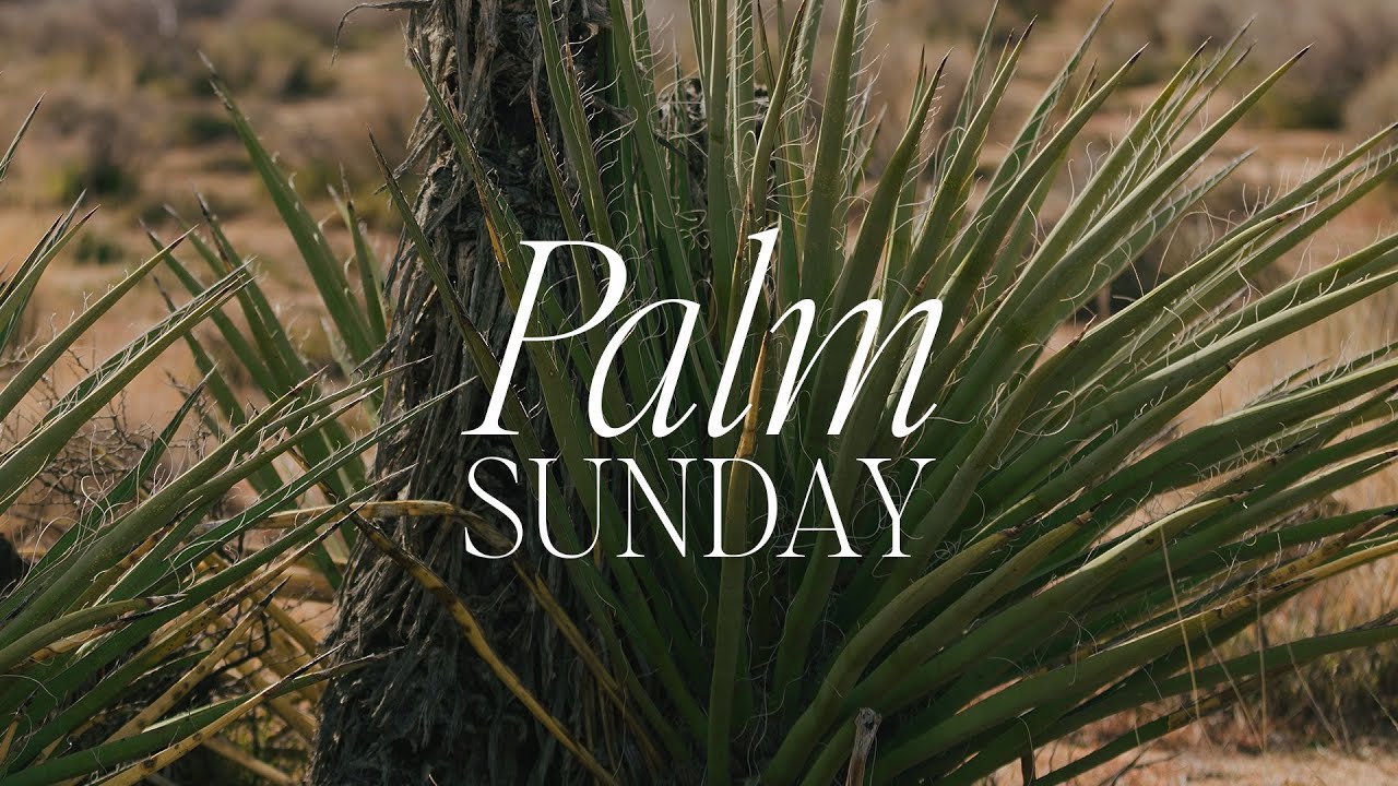 Lament and Hope in Wake of the Covenant School Tragedy | Kevin Queen ...