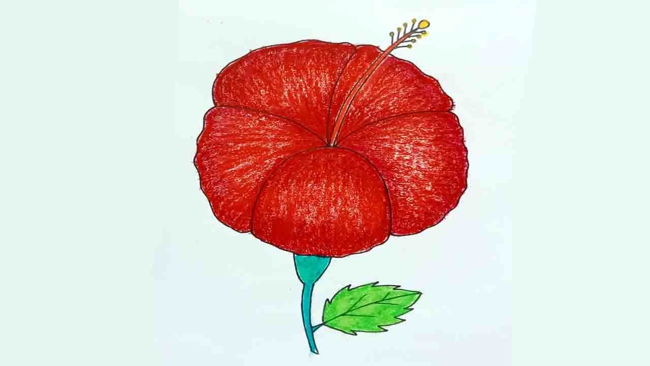 How to draw a china rose / very easy china rose step step by drawing ...