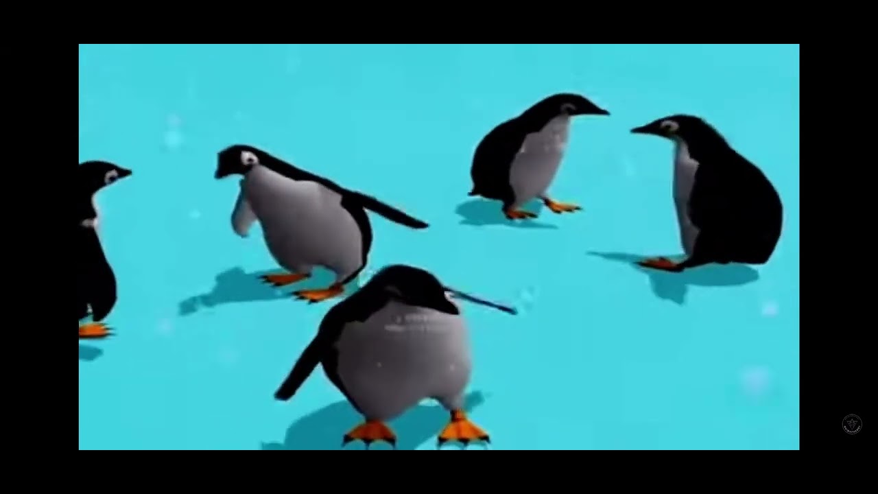 Tropa do Calvo (só Assista se vc For CALVO) - YouTube