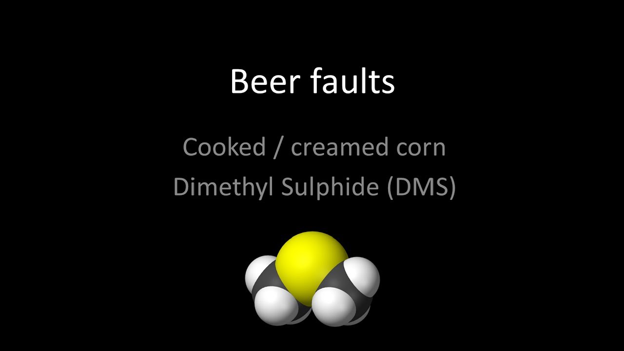 Cooked or creamed corn - DMS beer fault - YouTube