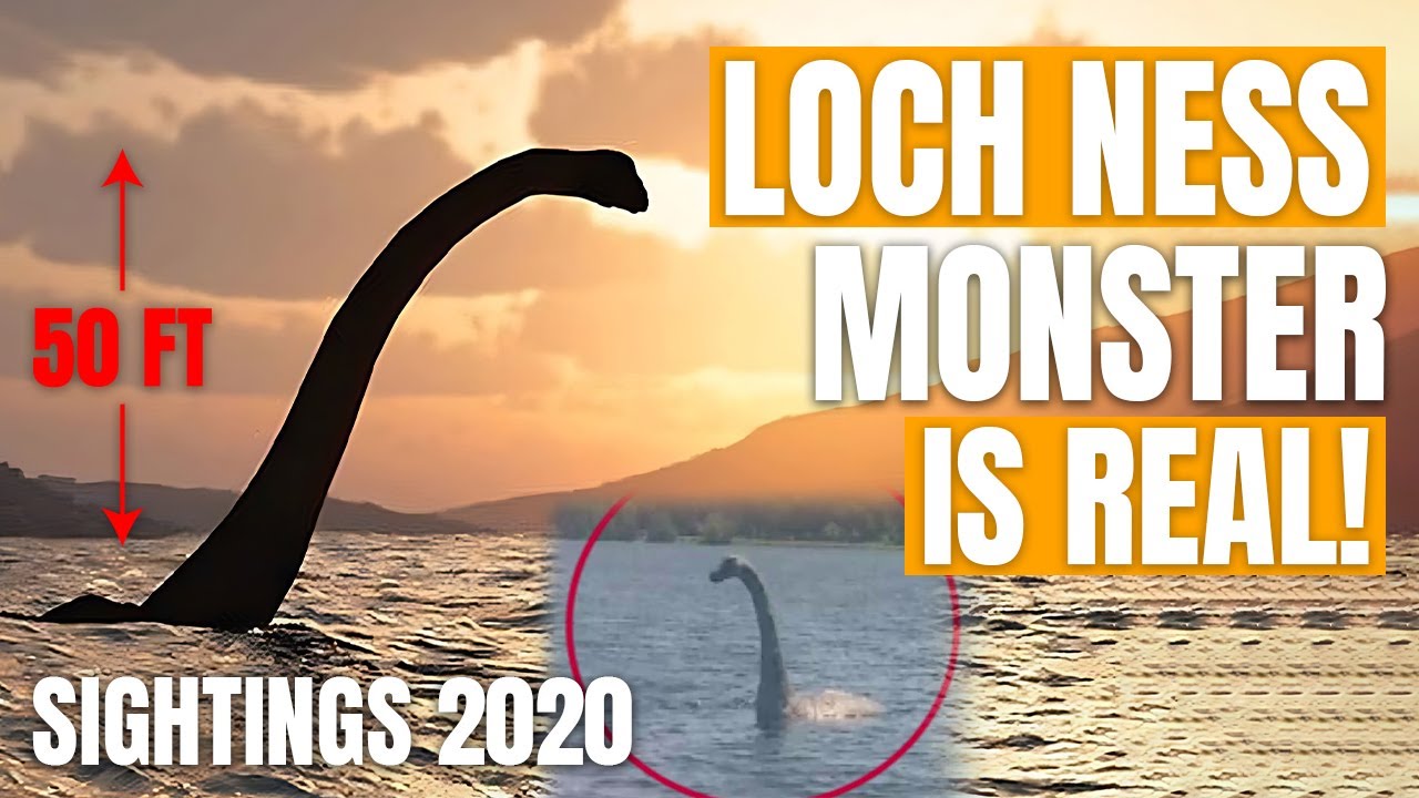 The Lochness Monster Is Real! | New Sightings Explained! - YouTube