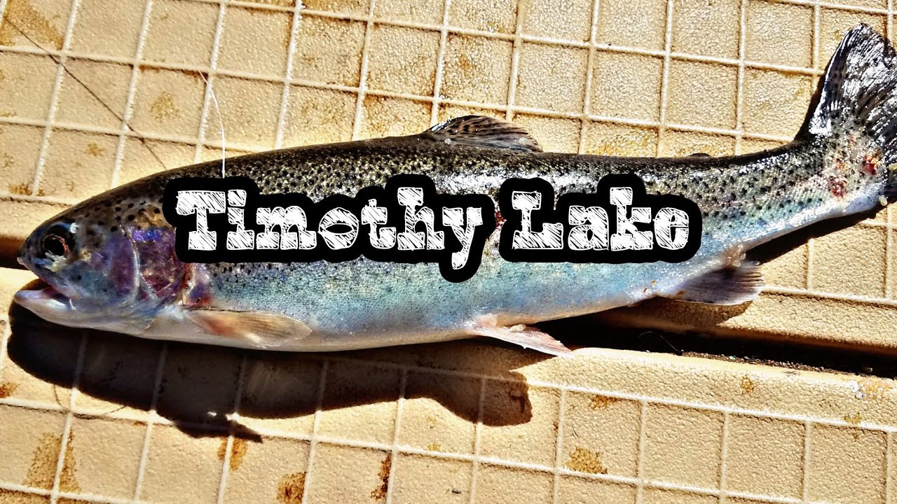 Goodbye Summer at Timothy Lake - YouTube