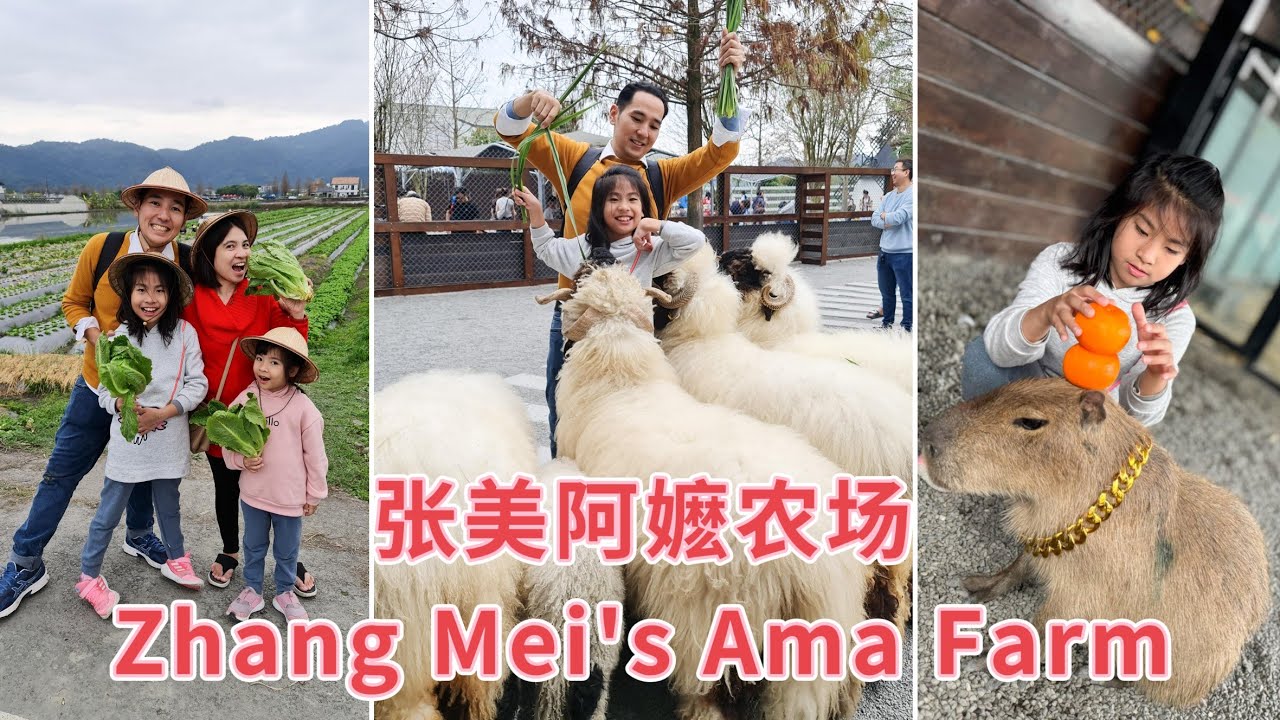 [2024-02-28] 张美阿嬷农场 Zhang Mei's Ama Farm - YouTube