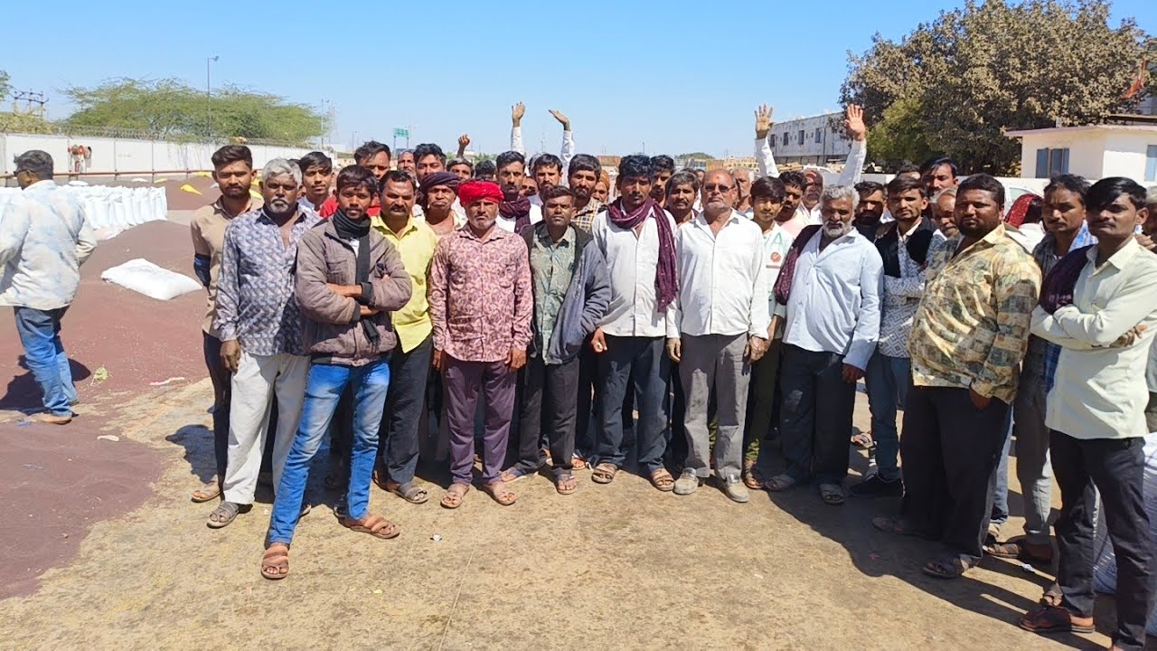 || Halvad || રાયના યોગ્ય ભાવ ન મળતાં હળવદ યાર્ડમાં ખેડૂતોએ હરરાજી બંધ ...