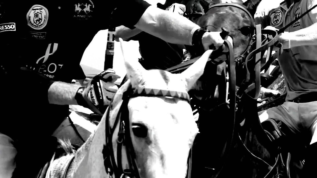 GREY GOOSE CHICAGO BEACH POLO COMMERCIAL - YouTube