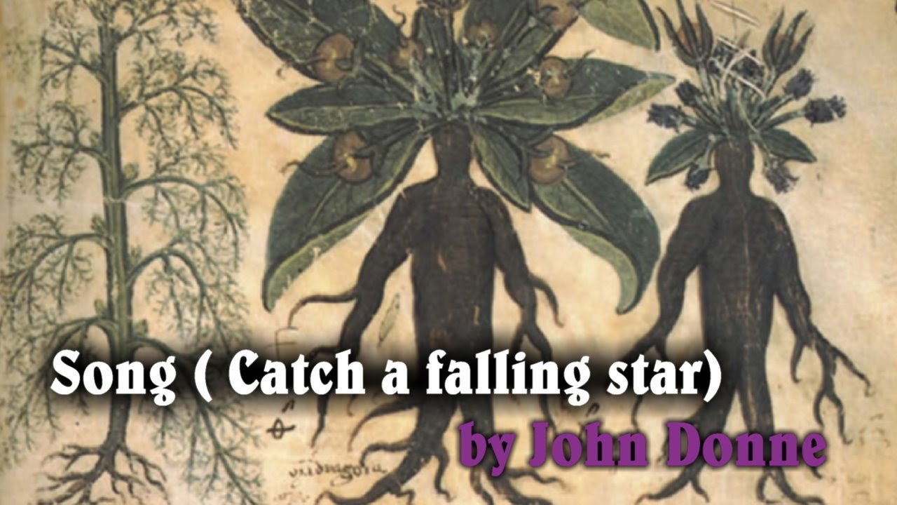 Song (Go and Catch a Falling Star) by John Donne - YouTube