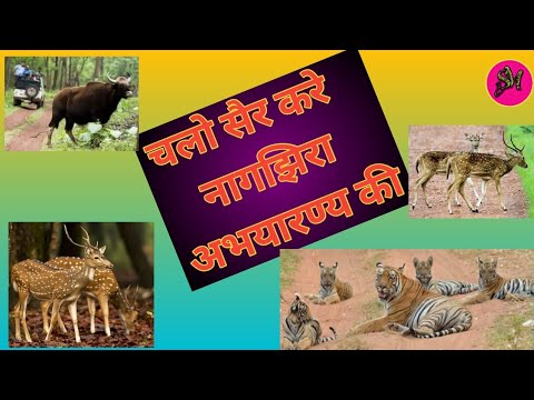 #NAGZIRA WILD LIFE SANCTUARY #BODALKASA MTDC HOTEL#MANGEZARI - YouTube