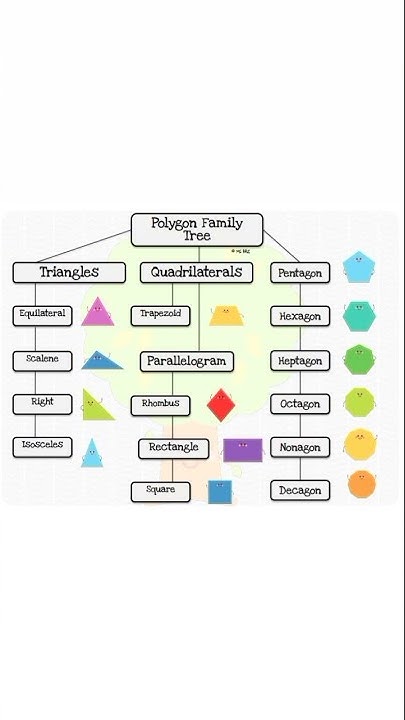 Polygon family tree, Bps study by Bhanu Pratap Singh, gk, gs, science ...