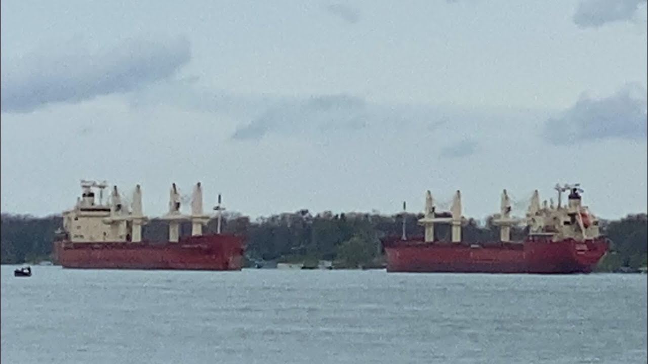 Saltwater Ships Federal Montreal And Federal Beaufort Passing Salute ...