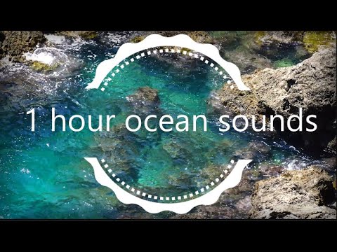 1 hour of relaxing ocean zen sounds with seagulls - YouTube