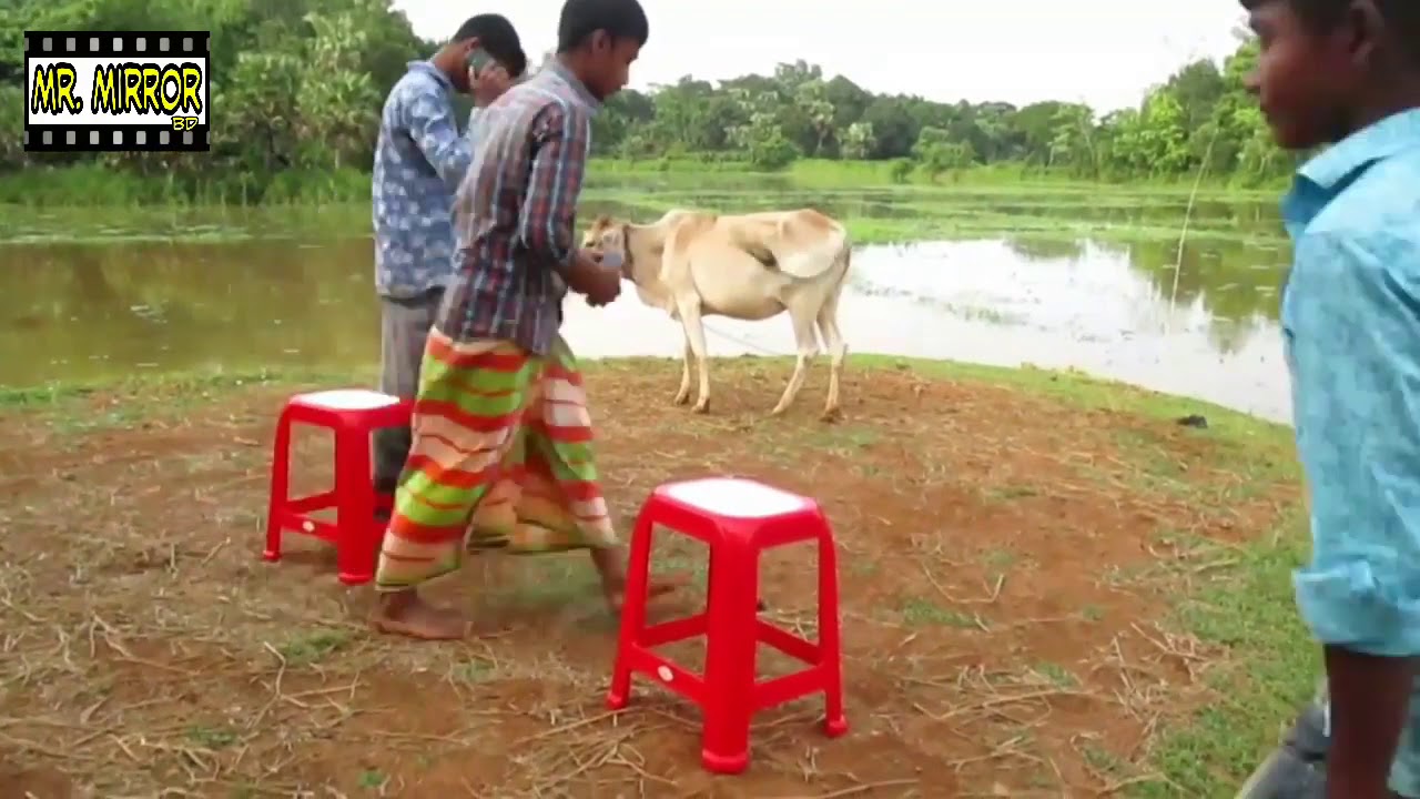 LoverBD comMust Watch 😂😂 Funny Comedy Video 2019 FUNNY VINES বাংলা ফান ...