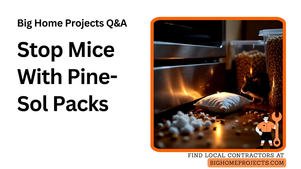 Pine-Sol Cotton Pack Mouse Runway Repellent Guide - YouTube