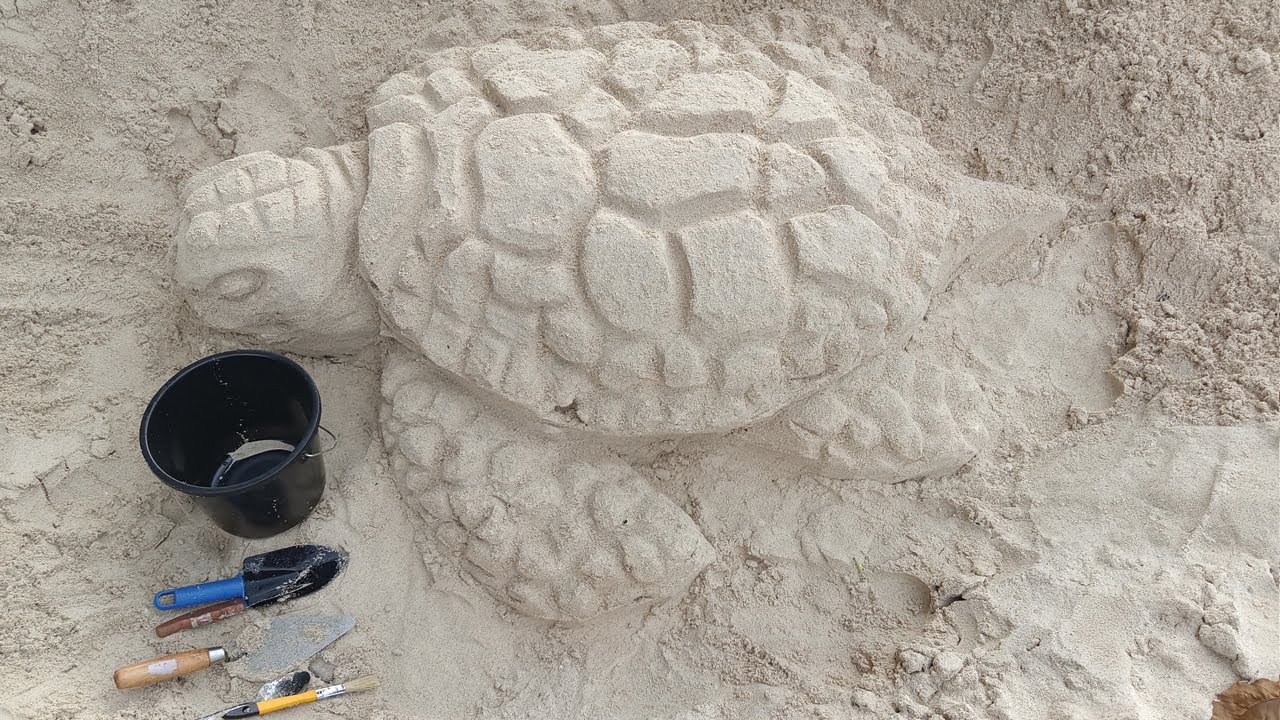 LIFE SIZE TURTLE SAND SCULPTURE - YouTube