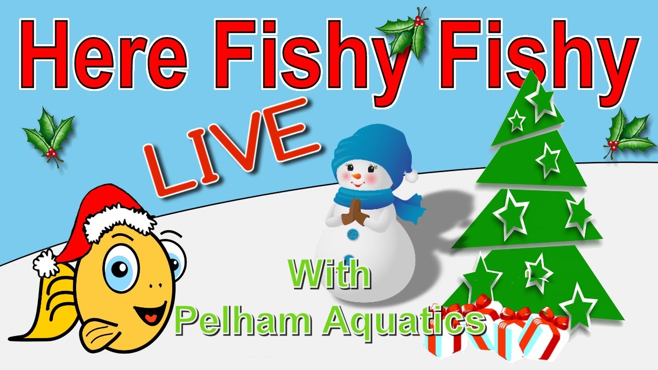Live - Here, Fishy, Fishy! E05 - YouTube