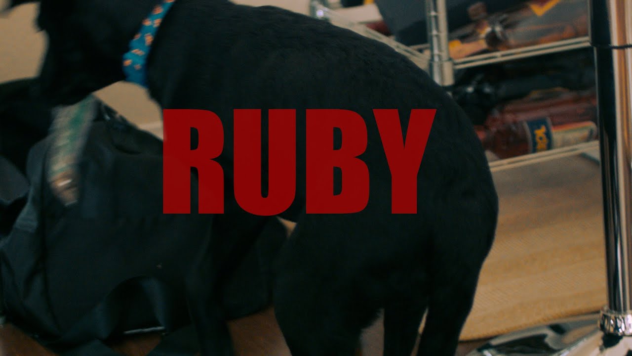 RUBY | Dog-Sitting Adventures (Filmed on BMPCC OG) - YouTube
