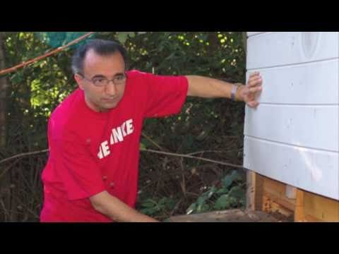 Balarilarin bu yilin ilk ucuslari, 12.03.2011 / Samiskan(Semsik) li Sahin Aydin