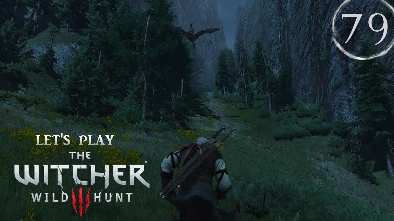 Let's Play The Witcher 3: Wild Hunt - Part 79 - Forktail Hunting - YouTube