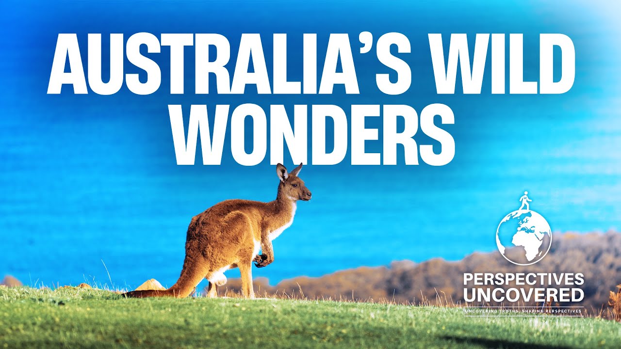 Exploring Australia's Unique Wildlife: The Outback, Ancient Rainforests ...