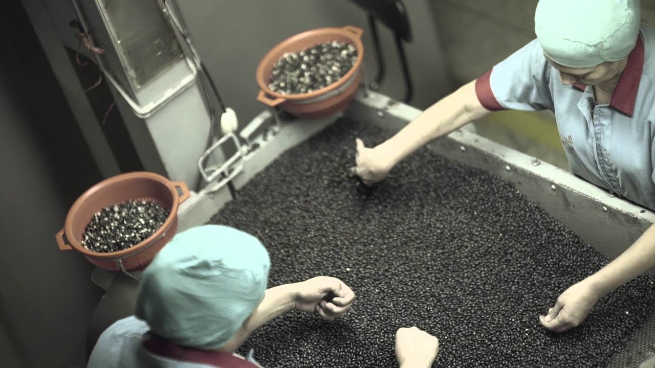 Jinca foods, de una crisis una bendición - YouTube