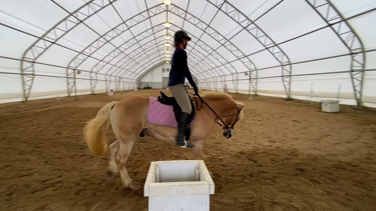 Audrey Skinner on Nickerson First Level Test 1, Jr rider - YouTube