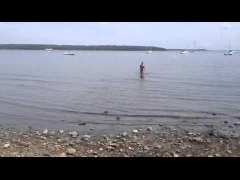 A Dog's First Swim by Tracy Courtemanche - YouTube