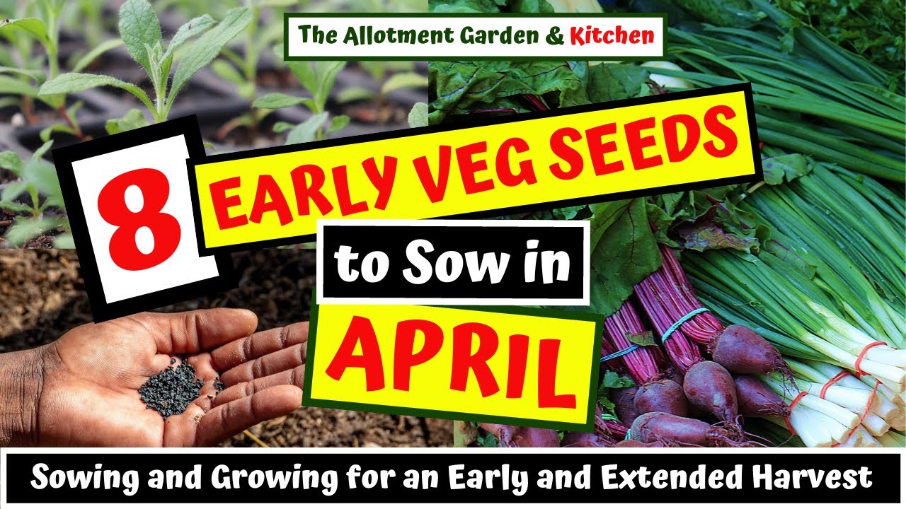 Early Veg to Sow and Grow in April | Easy to Grow Veg for an Early and ...