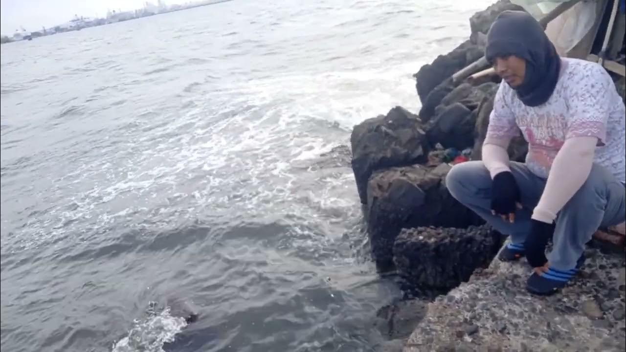 mancing dam merah tanjung Priuk, - YouTube