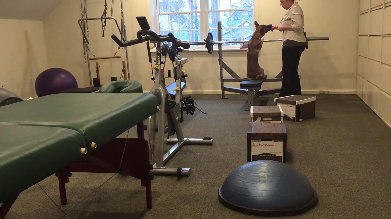 Jack, Gym & Footwork Fun - 5 Months Old - YouTube
