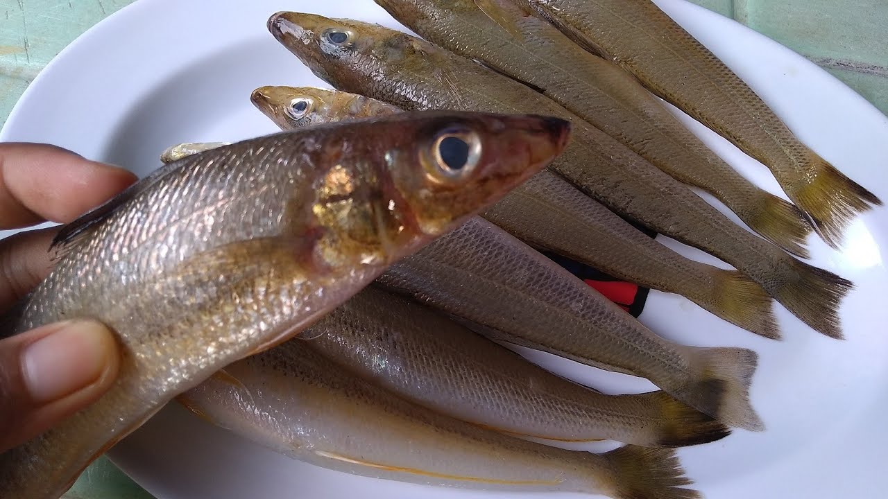 Gawin mo to sa Asuhos, Ay sos!! NAPAKASARAP! | Kusina ni Angel - YouTube