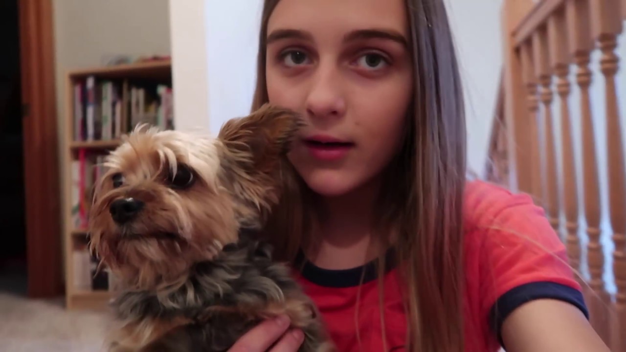 THAT IS SO INAPPROPRIATE // AFTER SCHOOL COMEDY - YouTube
