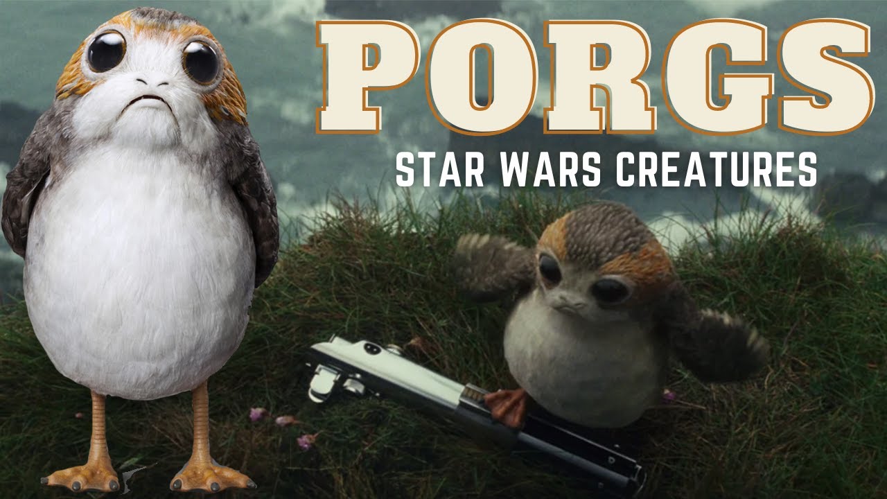 Porgs | Star Wars Creatures - YouTube
