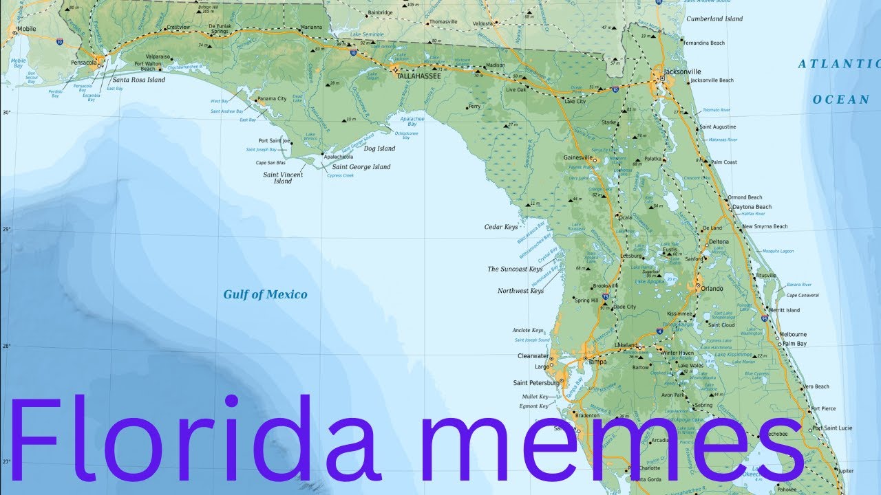 Florida memes - YouTube