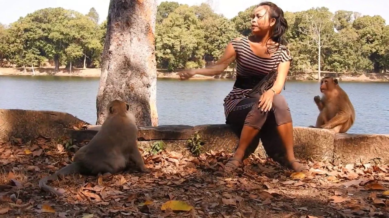 She is always concerned about animals - YouTube