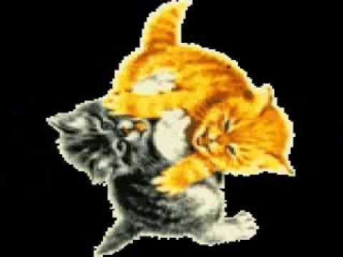 ÇİKOLATA ÇİKİTA