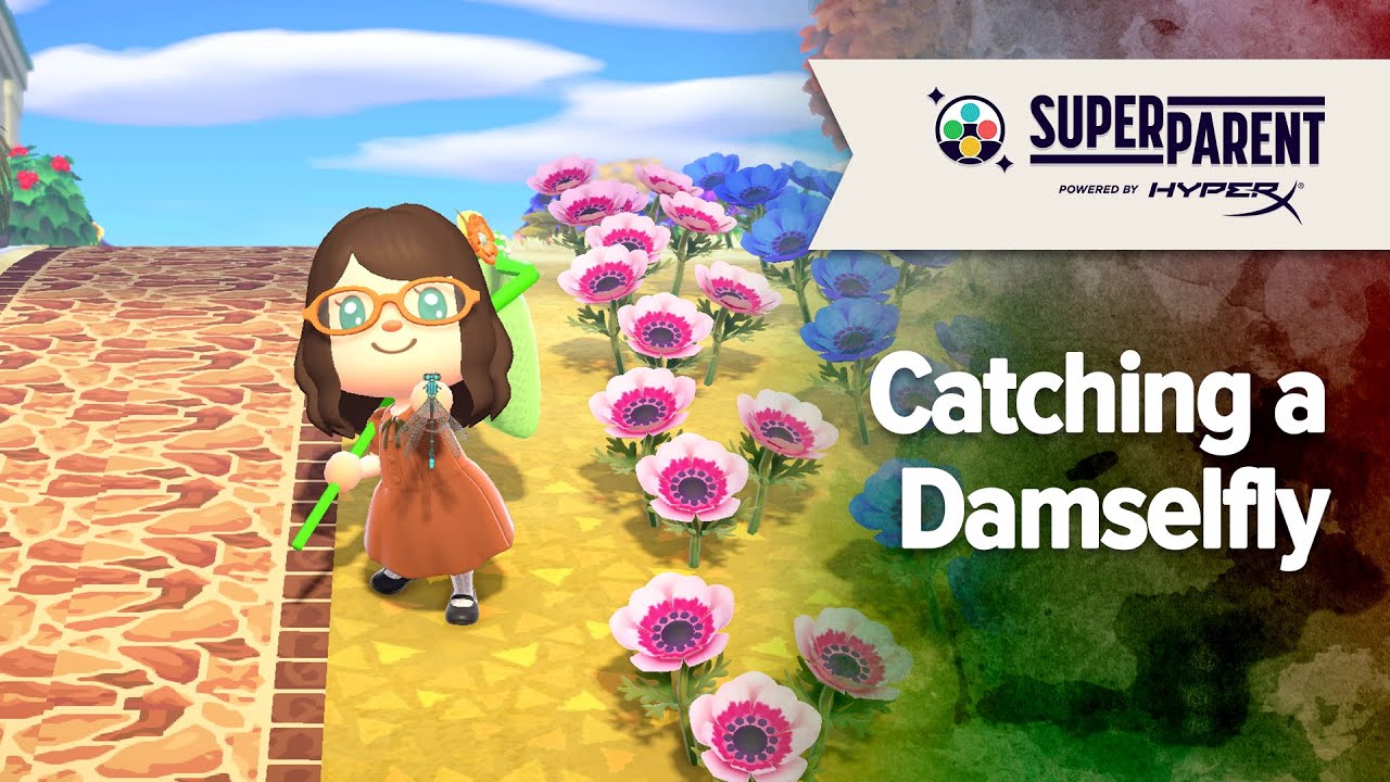 Animal Crossing: New Horizons - Catching a Damselfly - YouTube