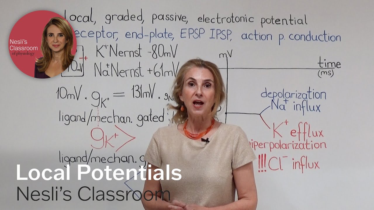 Local Potentials - YouTube