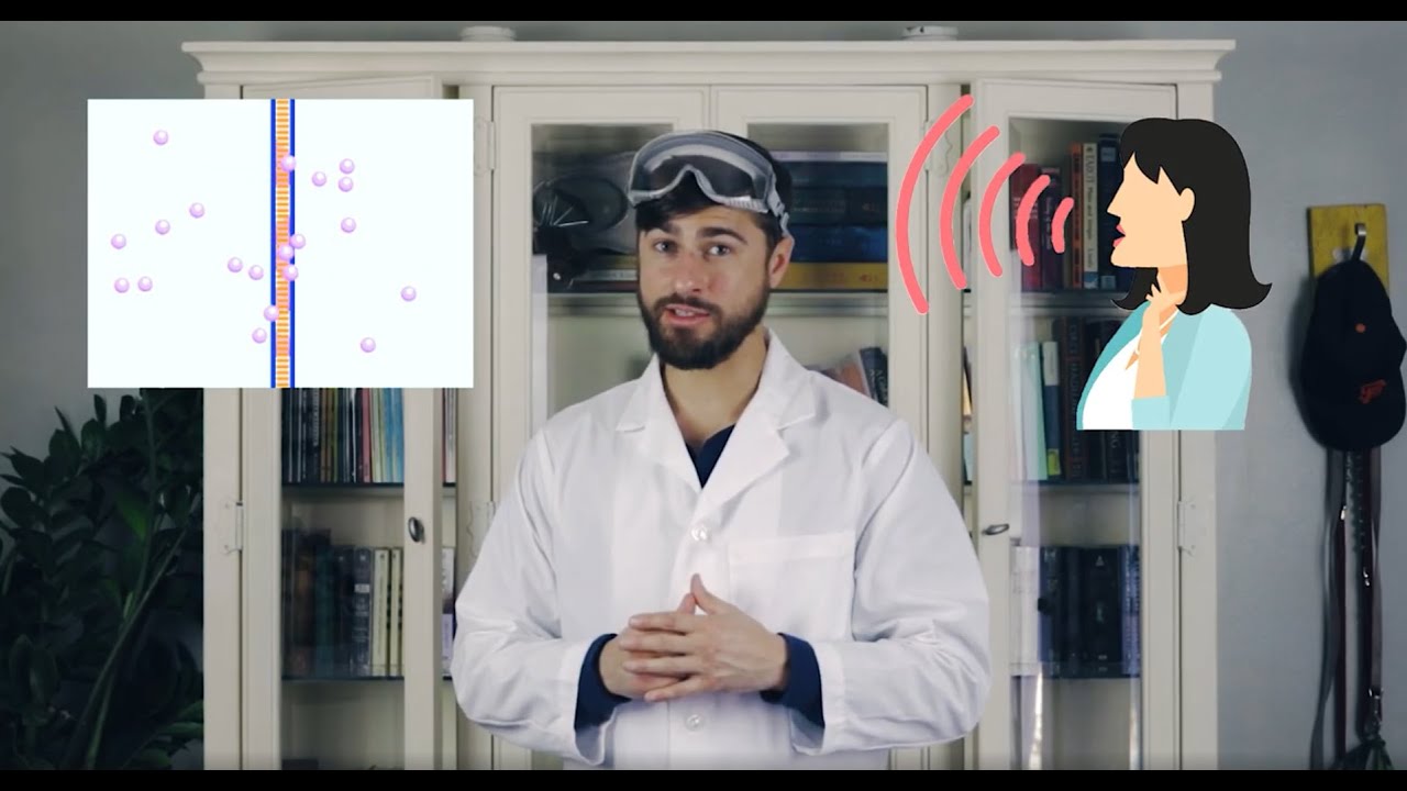 Vocal Steamer For Singers | Best Steaming Products | Мusic Gateway