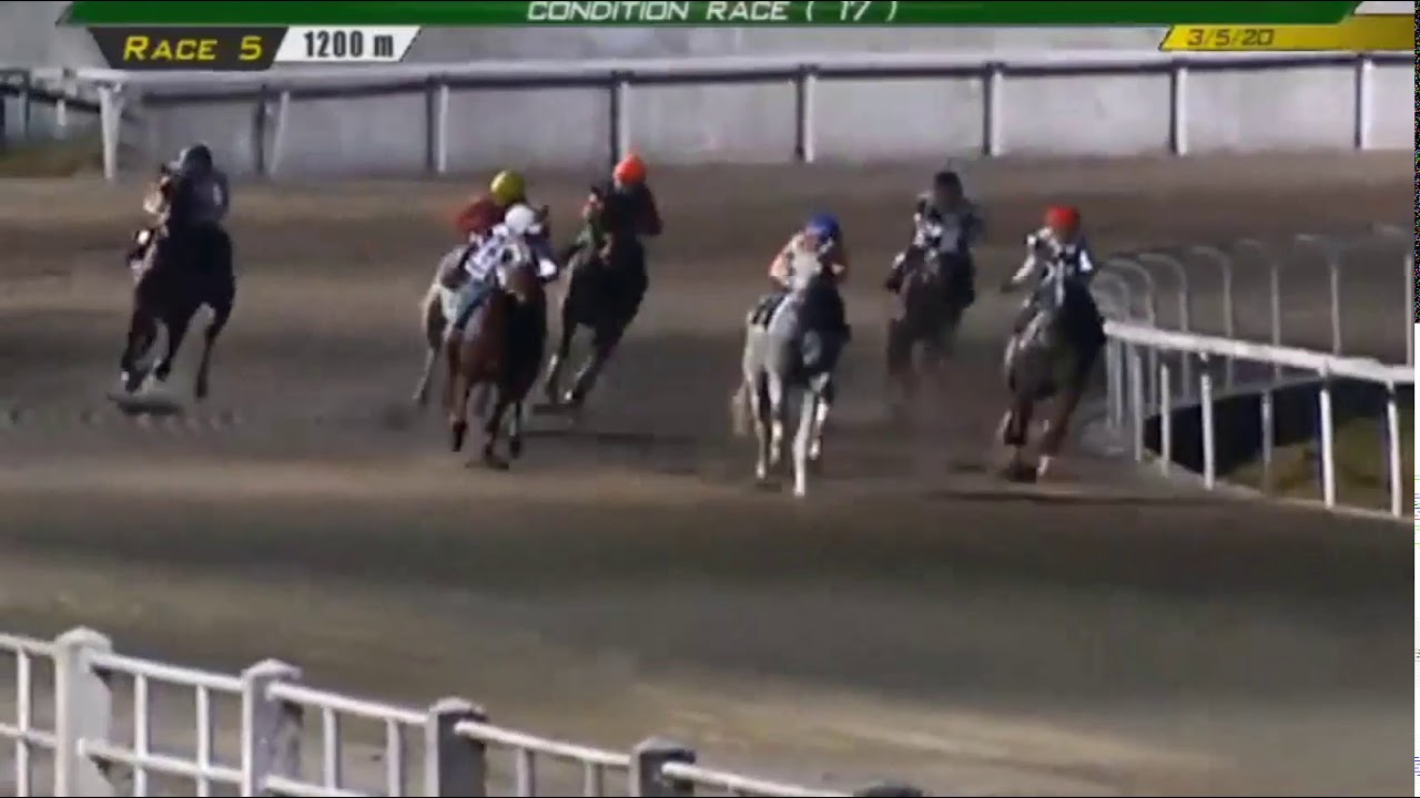 DECEMBER EIGHTEEN - PRCI RACE 5 - MARCH 5, 2020 - HORSE RACING REPLAY ...