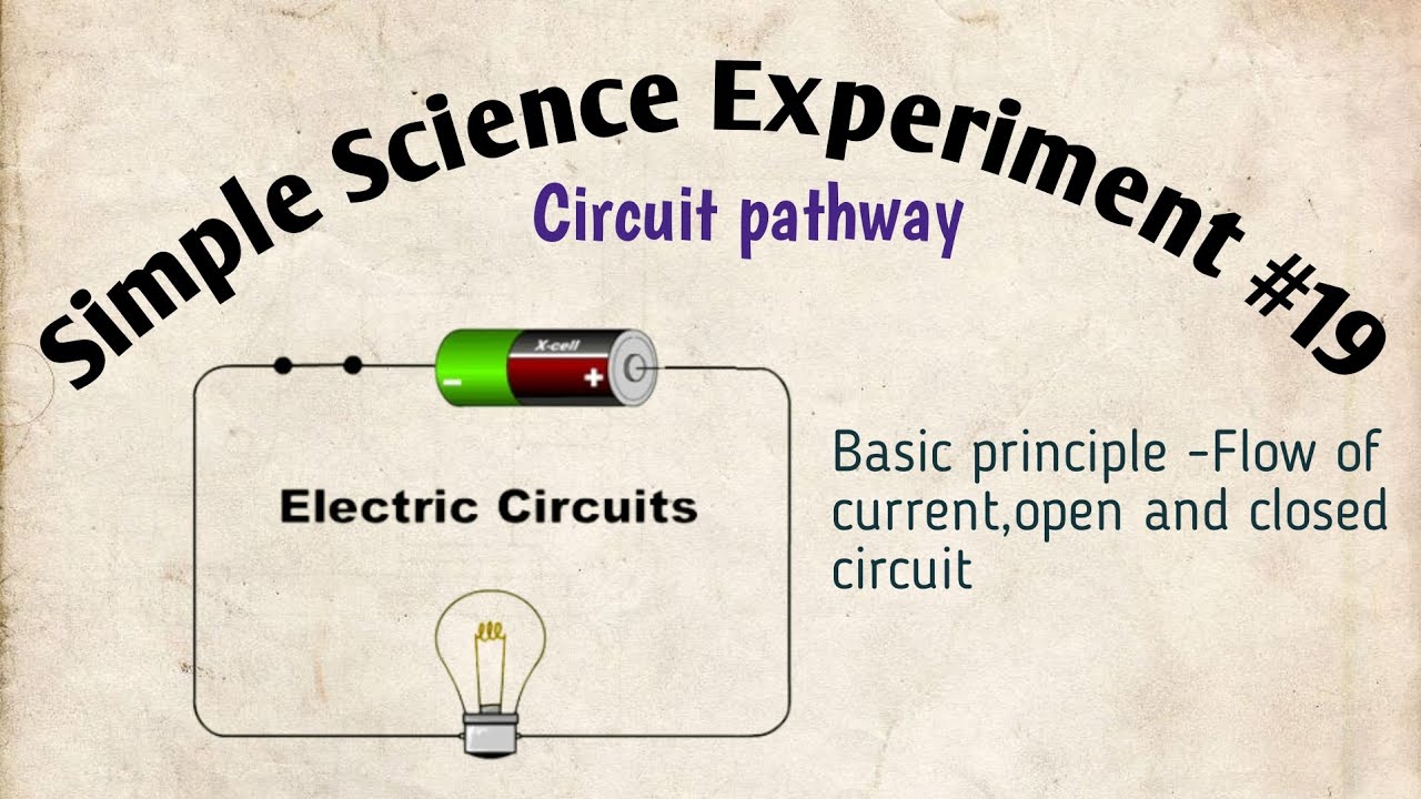 Simple Science Experiment for kids/ circuit pathway experiment/ closed ...