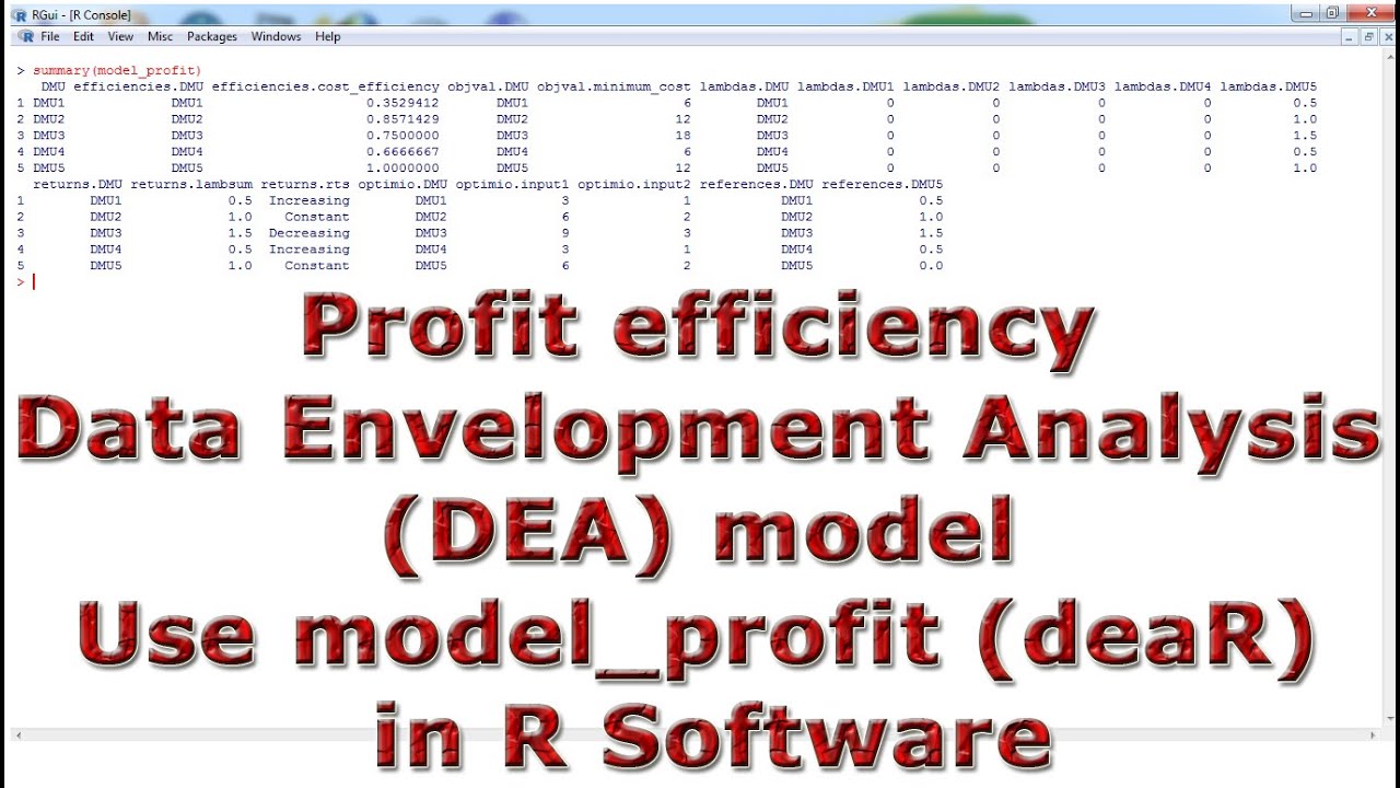 Profit efficiency Data Envelopment Analysis (DEA) model Use model ...