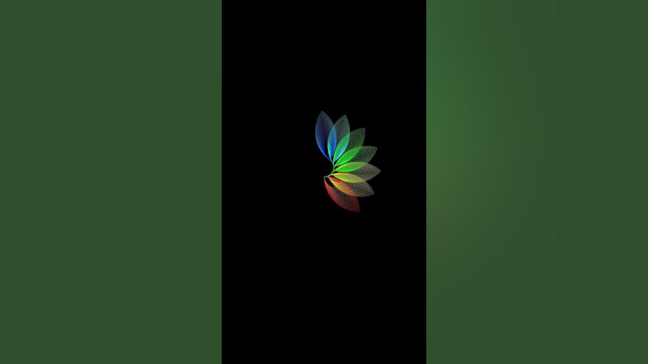 Amazing Flower Design Using Python Turtle π’ Python Coding Funny Viral Trending Design