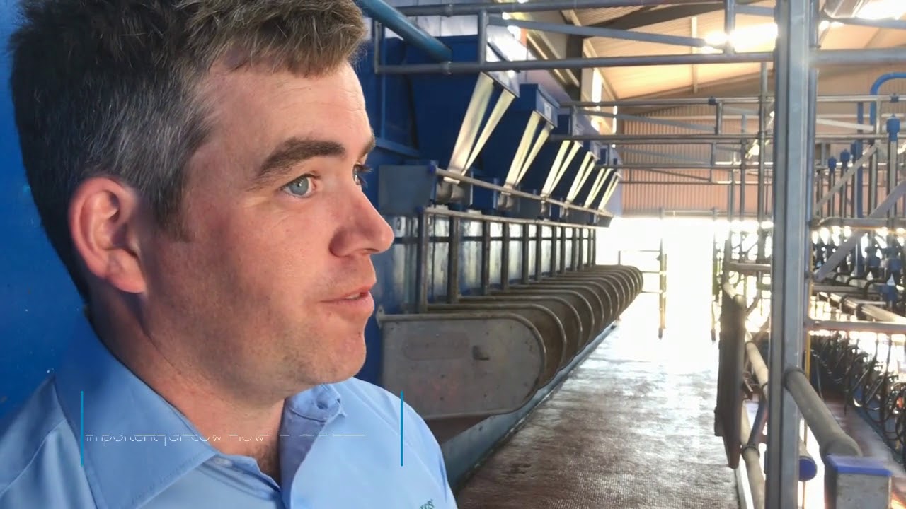 Dairy Infrastructure & Farm Flow - YouTube