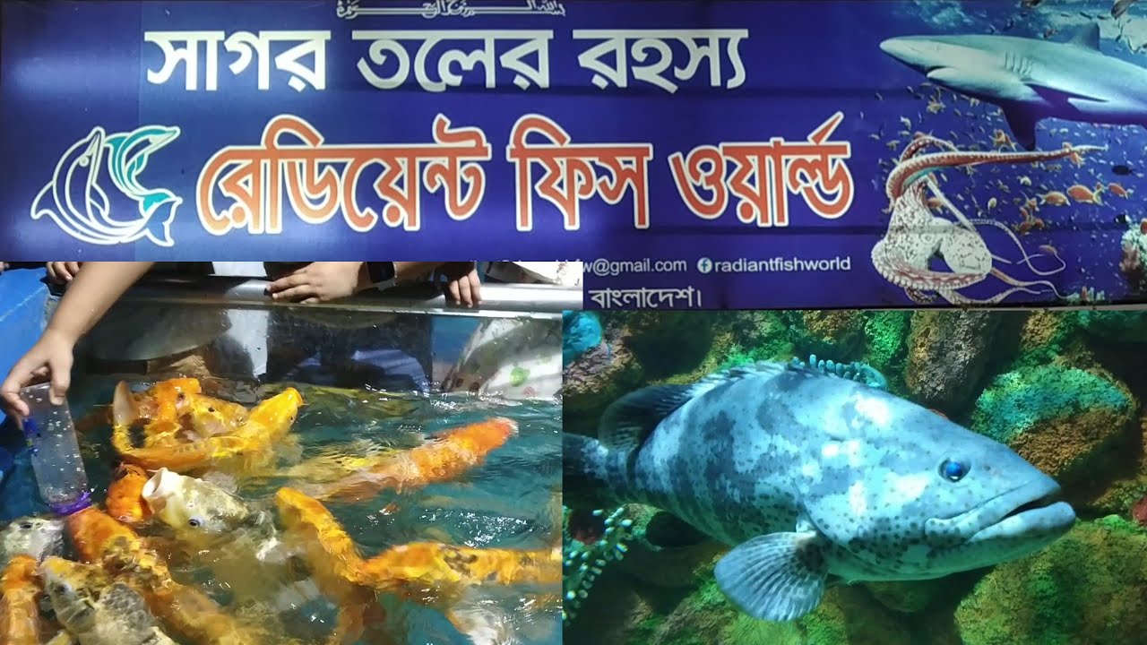 Radiant Fish World Cox’s Bazar | রেডিয়েন্ট ফিস ওয়ার্ল্ড।সাগরের নিচে ...