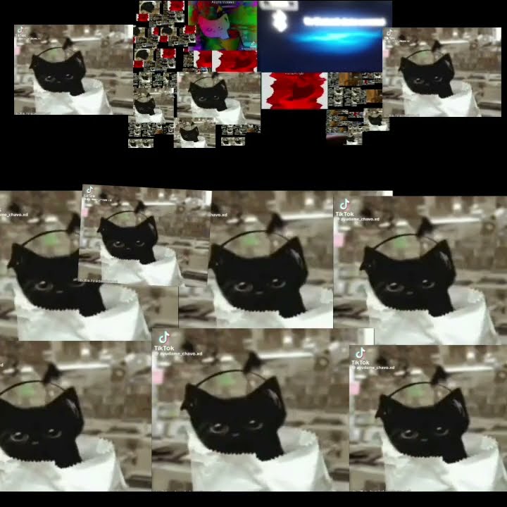 too many numa cat preview 2 v8 - YouTube