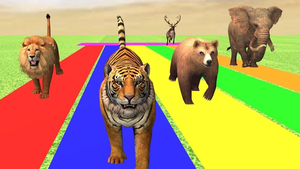 Wild Animal Race, Lion, Tiger, Bear, Deer, Elephant, Who Will Win - YouTube