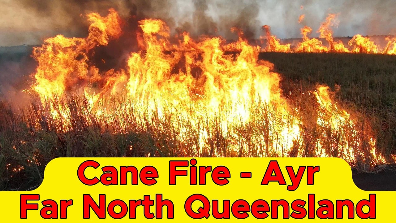 Fierce Sugarcane Fire - Burdekin Snow, North Queensland - DJI FPV - YouTube